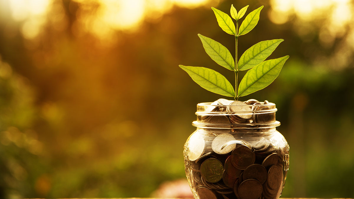 The growth of green finance for a net-zero future - LoupedIn