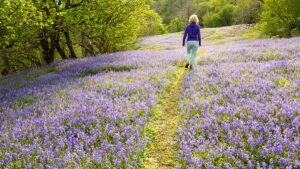 Ben Stansfield | Gowling WLG